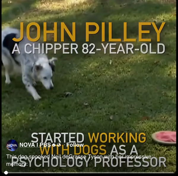 INSPIRATIONAL: Stunning demo of a dog’s memory! | Reinke Faces Life